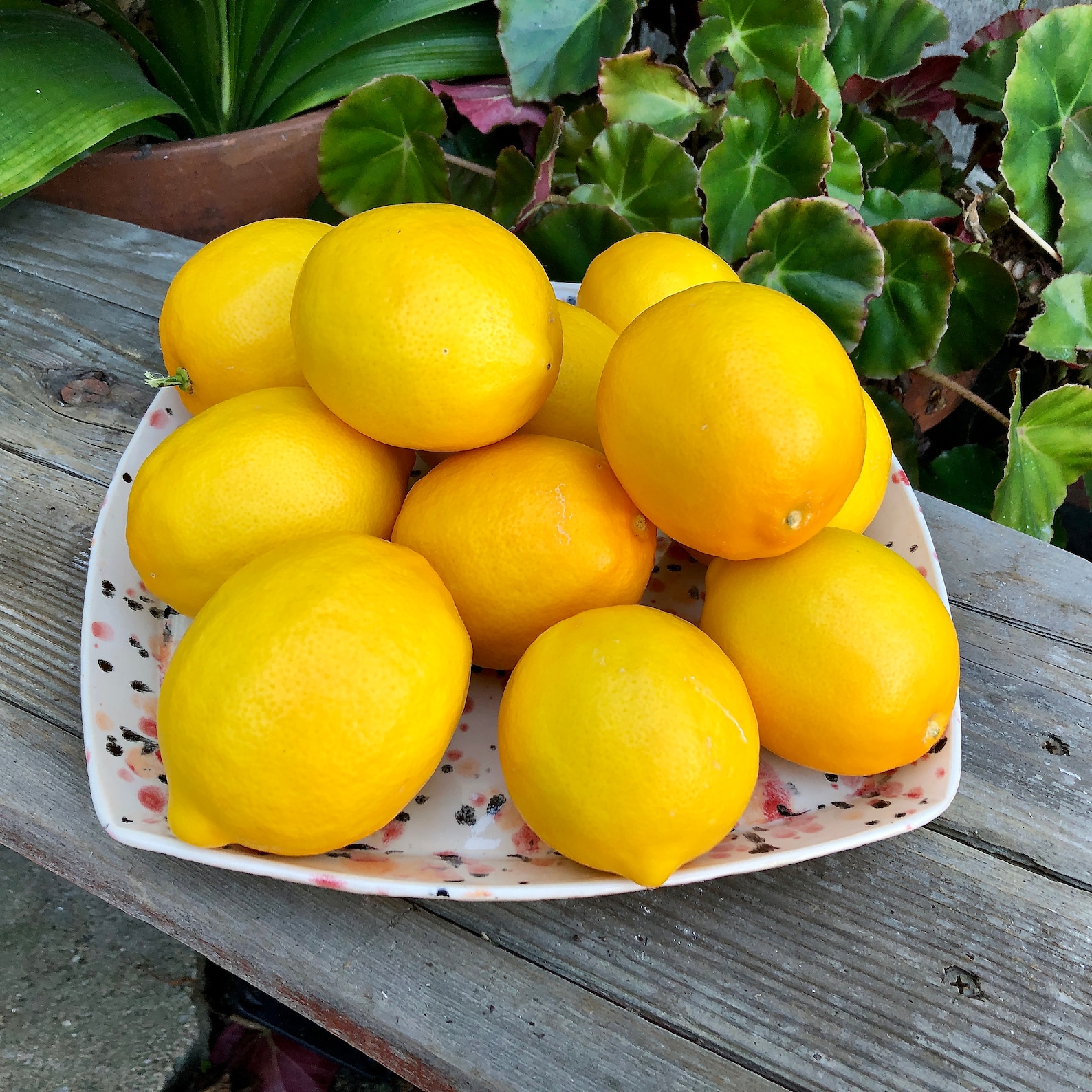 Ceramic Spring-like Platter Peaches and Strawberries in | Etsy