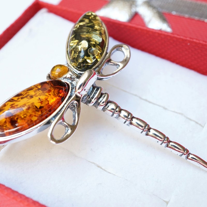 Dragonfly in Amber - Etsy