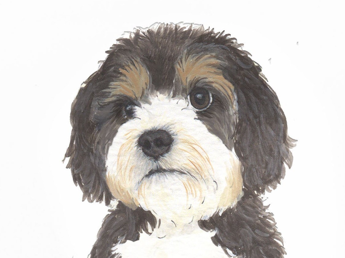 Black White & Tan Bernedoodle Sheepadoodle Painting - Etsy