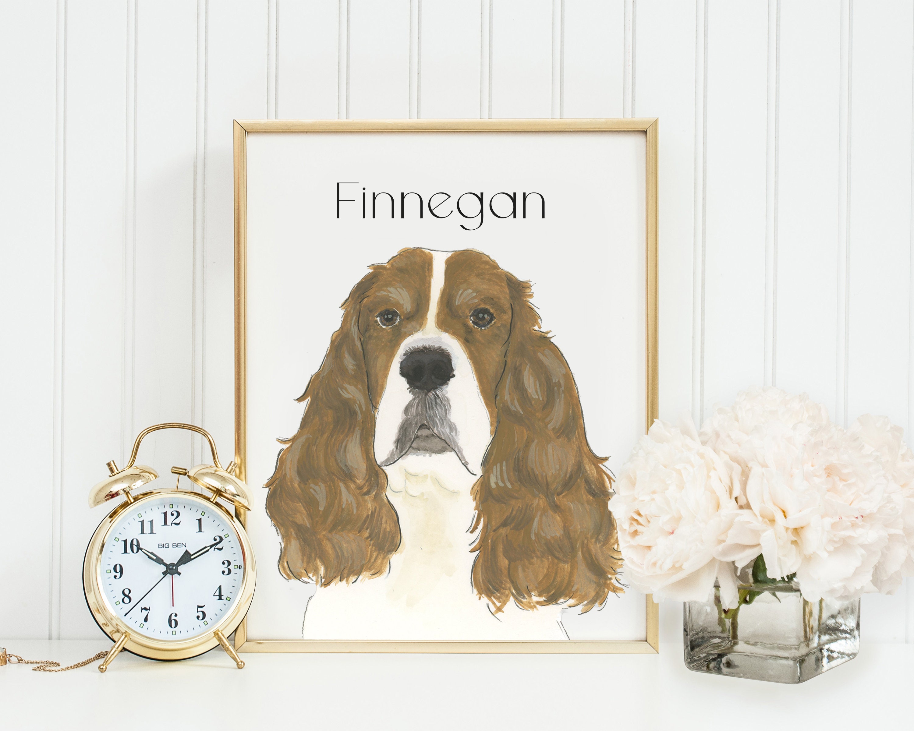 English Springer Spaniel Red And White
