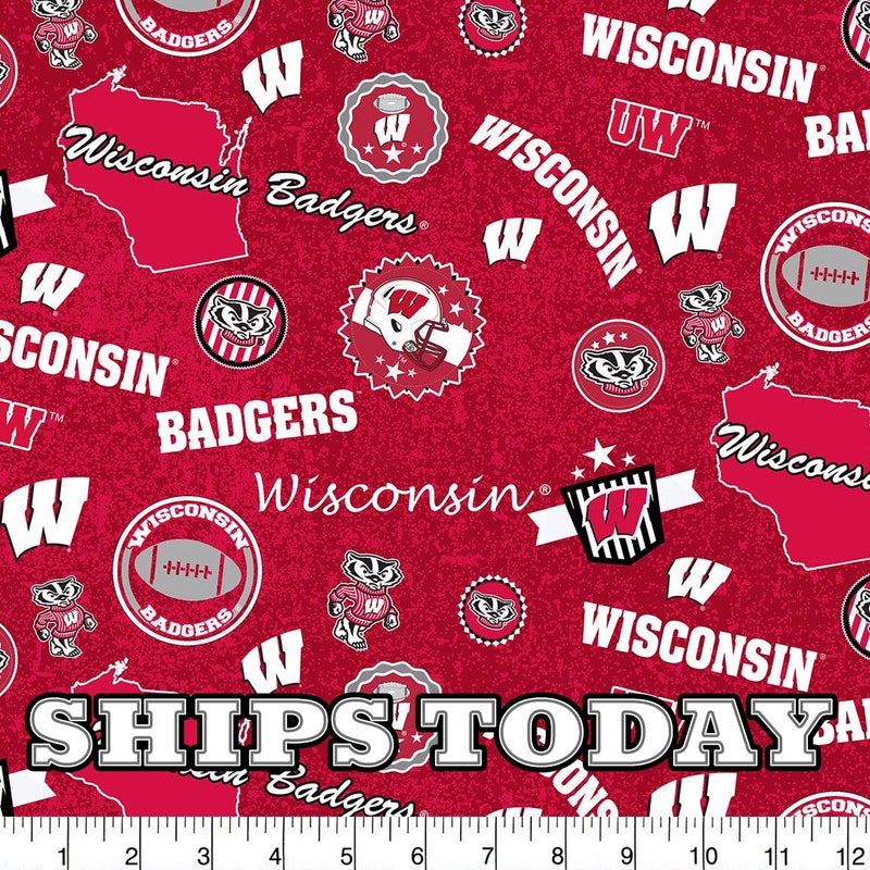 Wisconsin Badger - Etsy