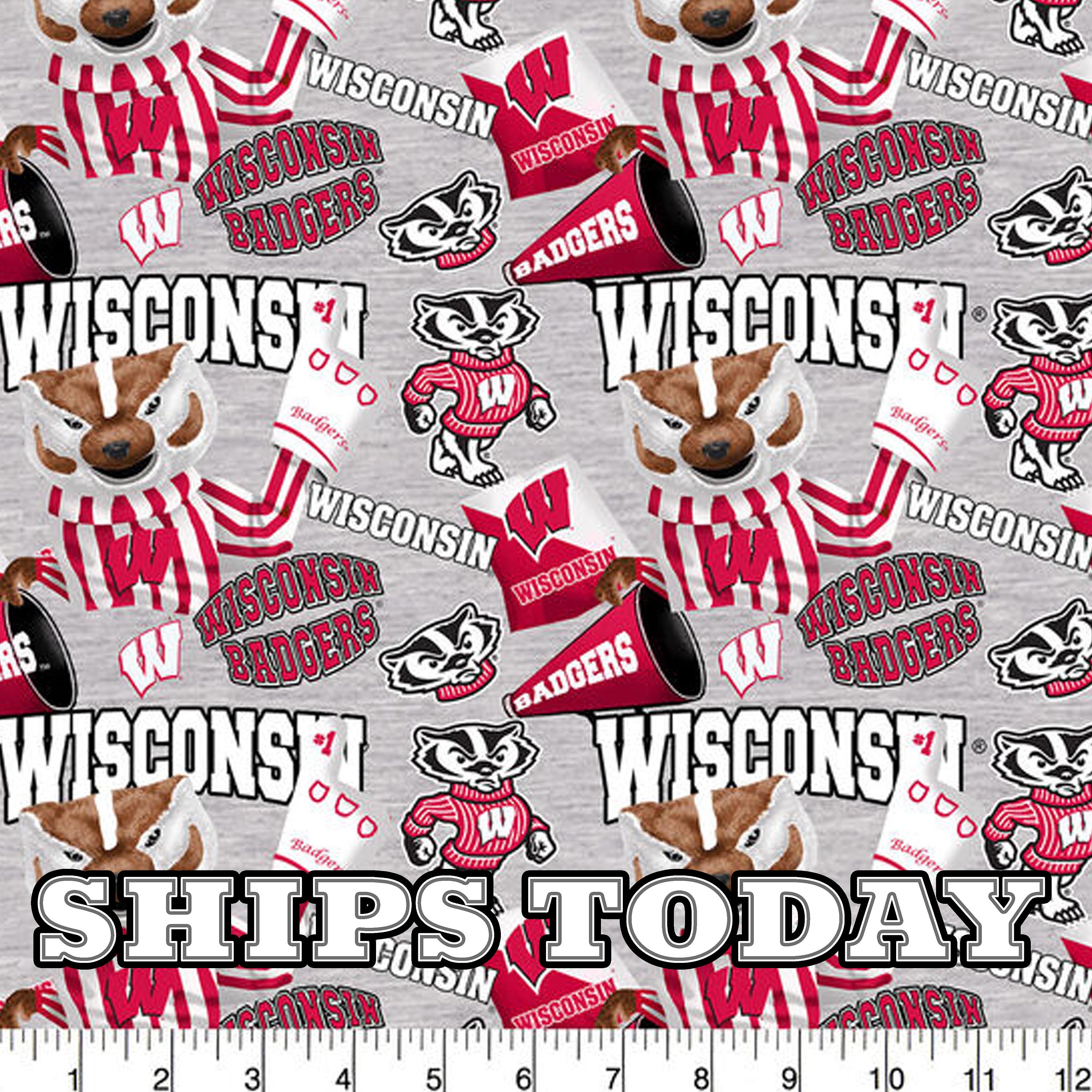 Bucky Badger Wallpaper