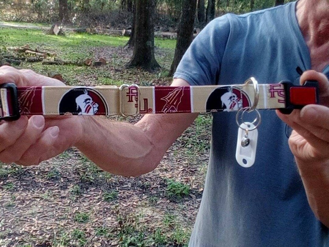 Collars Made From Fabric With FSU Icons, Indian Heads in Boxes or on ...