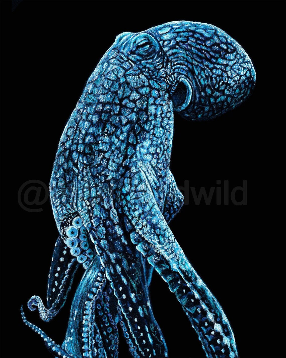 Blue Octopus - Printable Download - 5:4 Ratio - Etsy