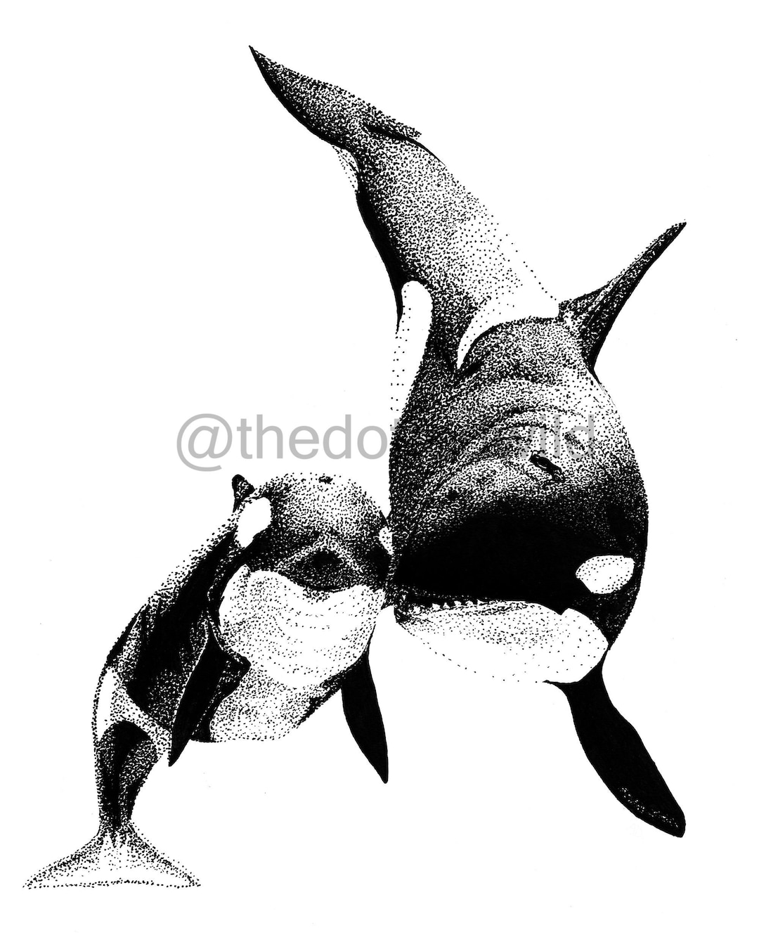 Killer Whales - Printable Download - Two Sizes - Etsy