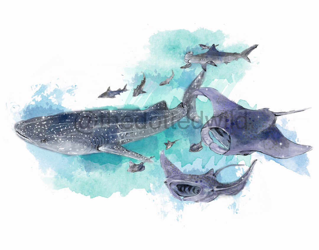 Star Sharks and Rays - Printable Download - Two Sizes - Etsy