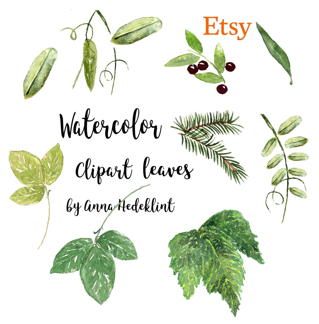 Watercolor Clipart Green Leaves in a Botanical Scandinavian - Etsy