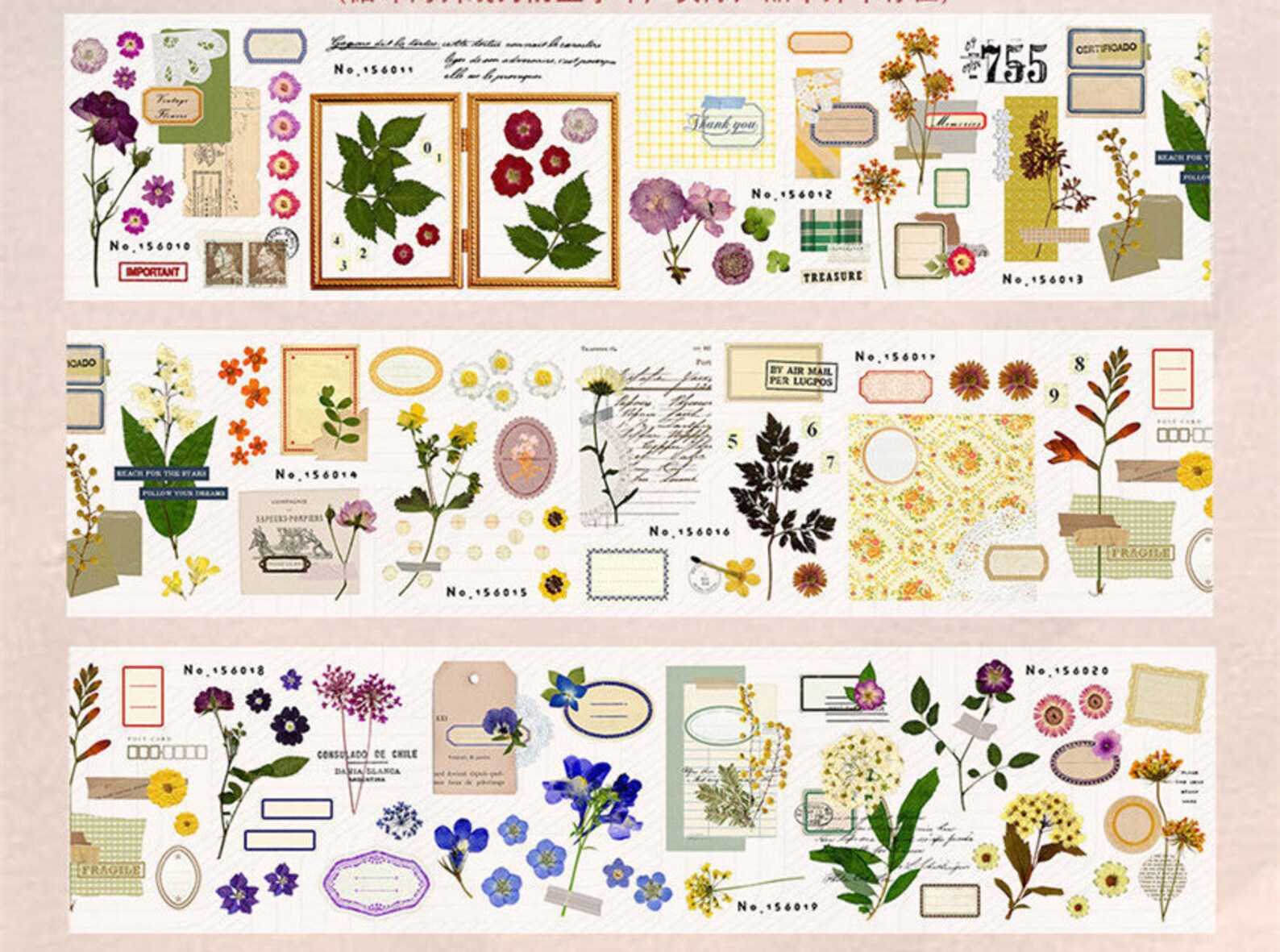 Sample Vintage Style Label/specimen/flower Washi Masking Tape by Mooka ...