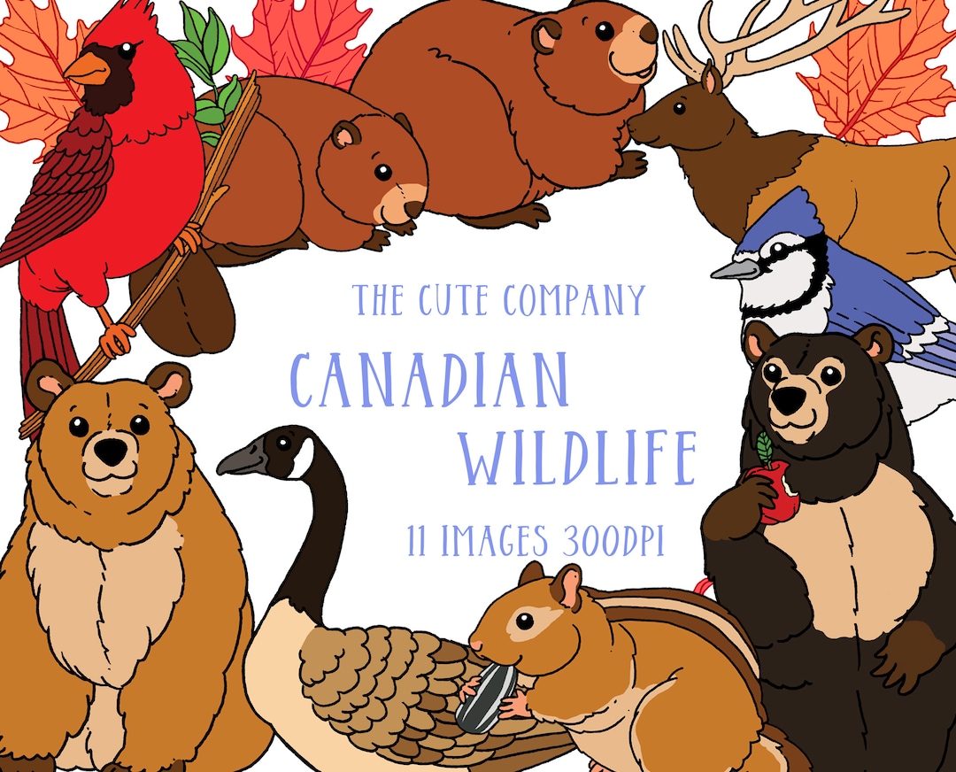 Canada Clipart- Wildlife Clipart -animal Portrait - Bear Stickers ...