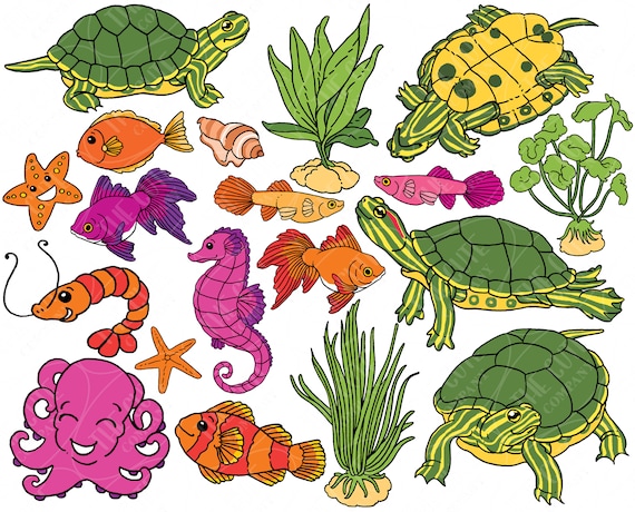 Pet Turtle Clipart