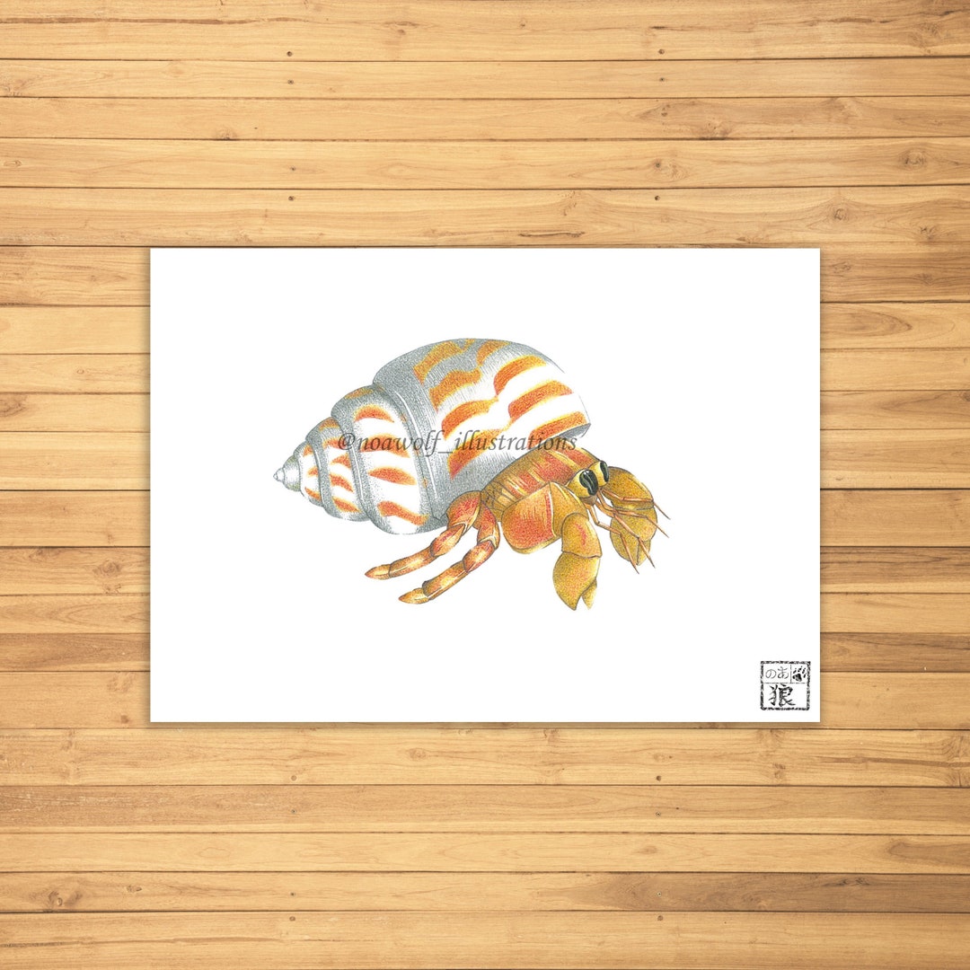 Hermit Crab Art - Etsy