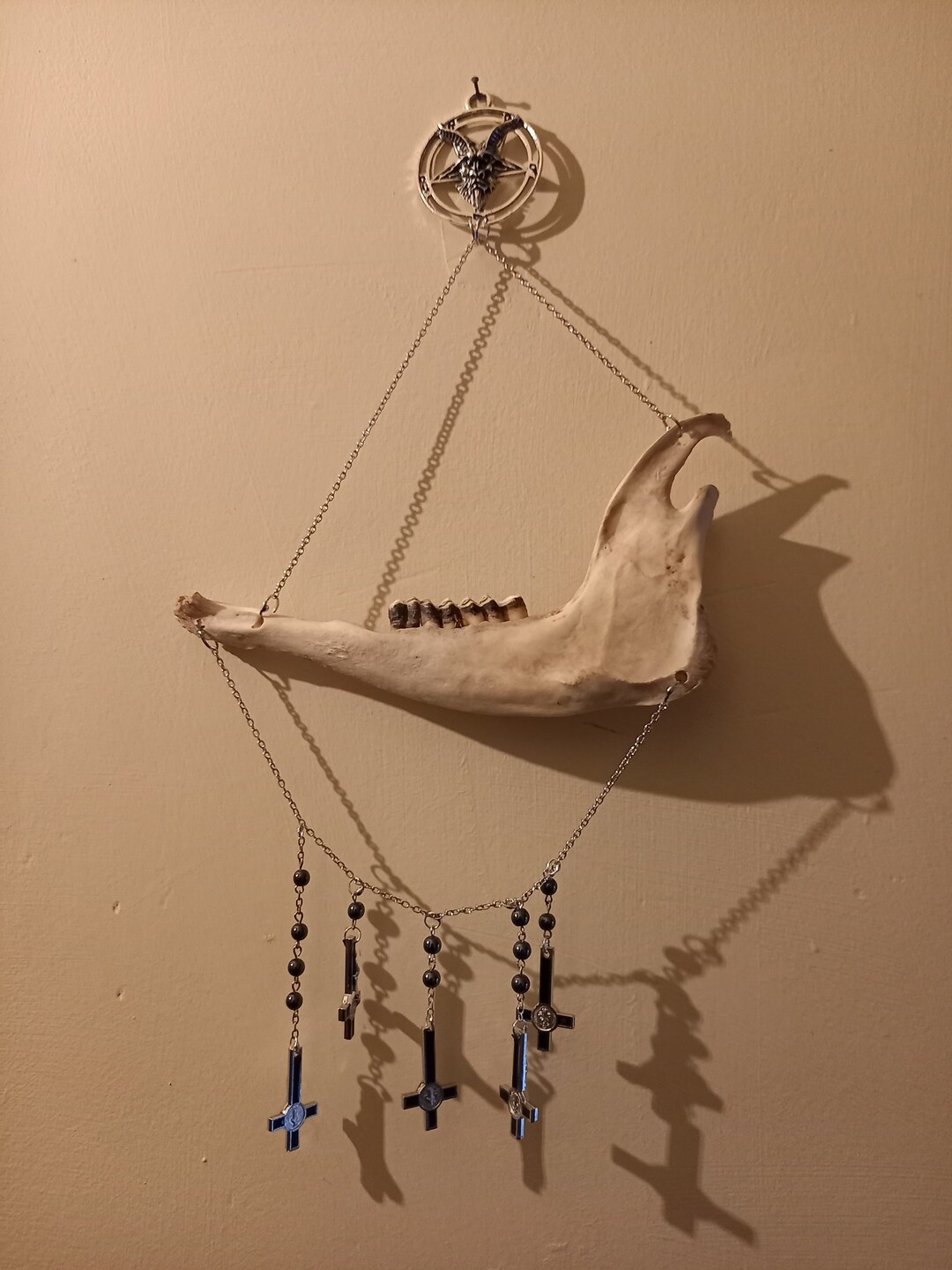 OOAK Unique Upcycled Recycled .bone Taxidermy Goth Gothic Witchy ...