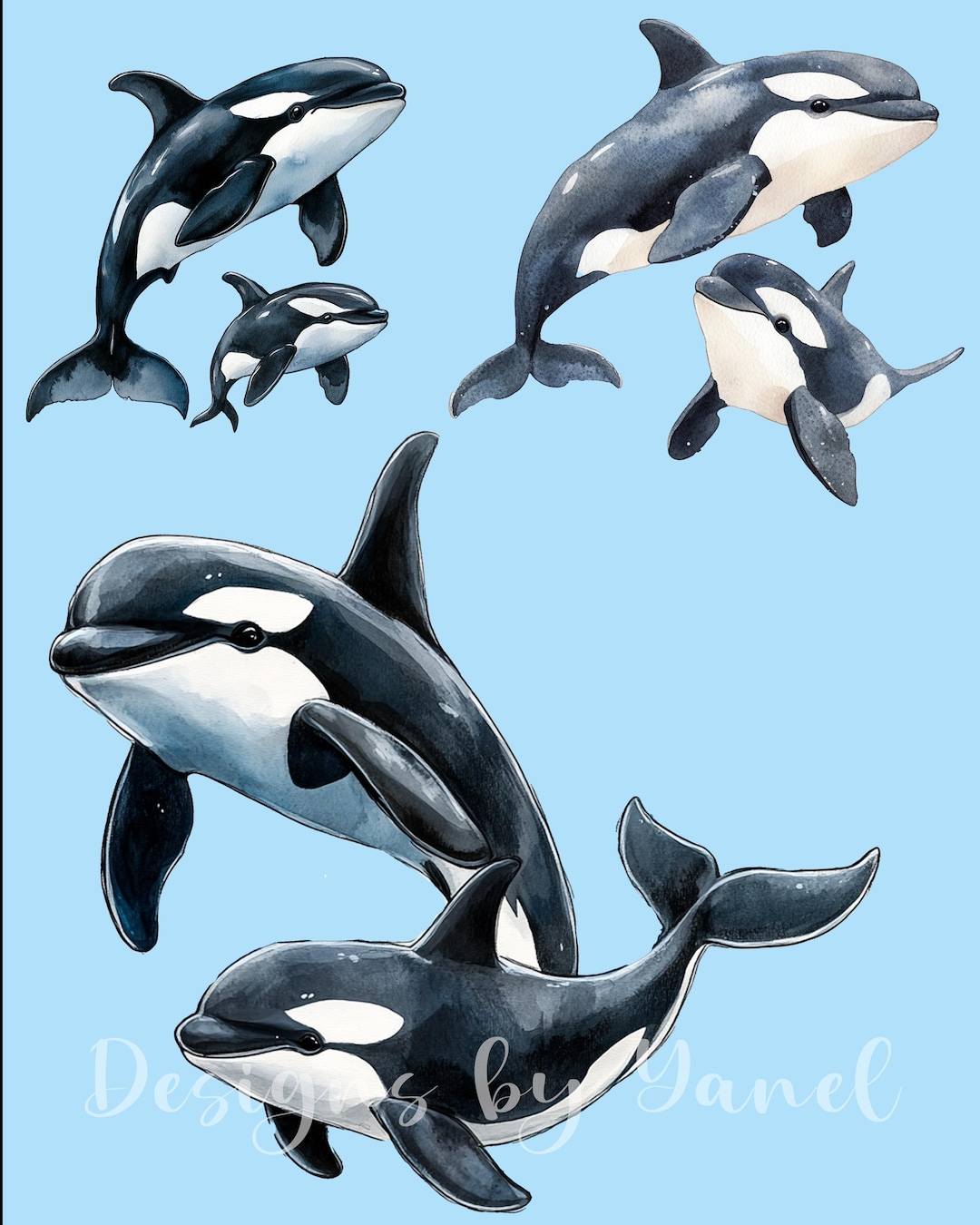 Watercolor Orca Clipart: Mom and Baby Whale PNG (digital Download) - Etsy