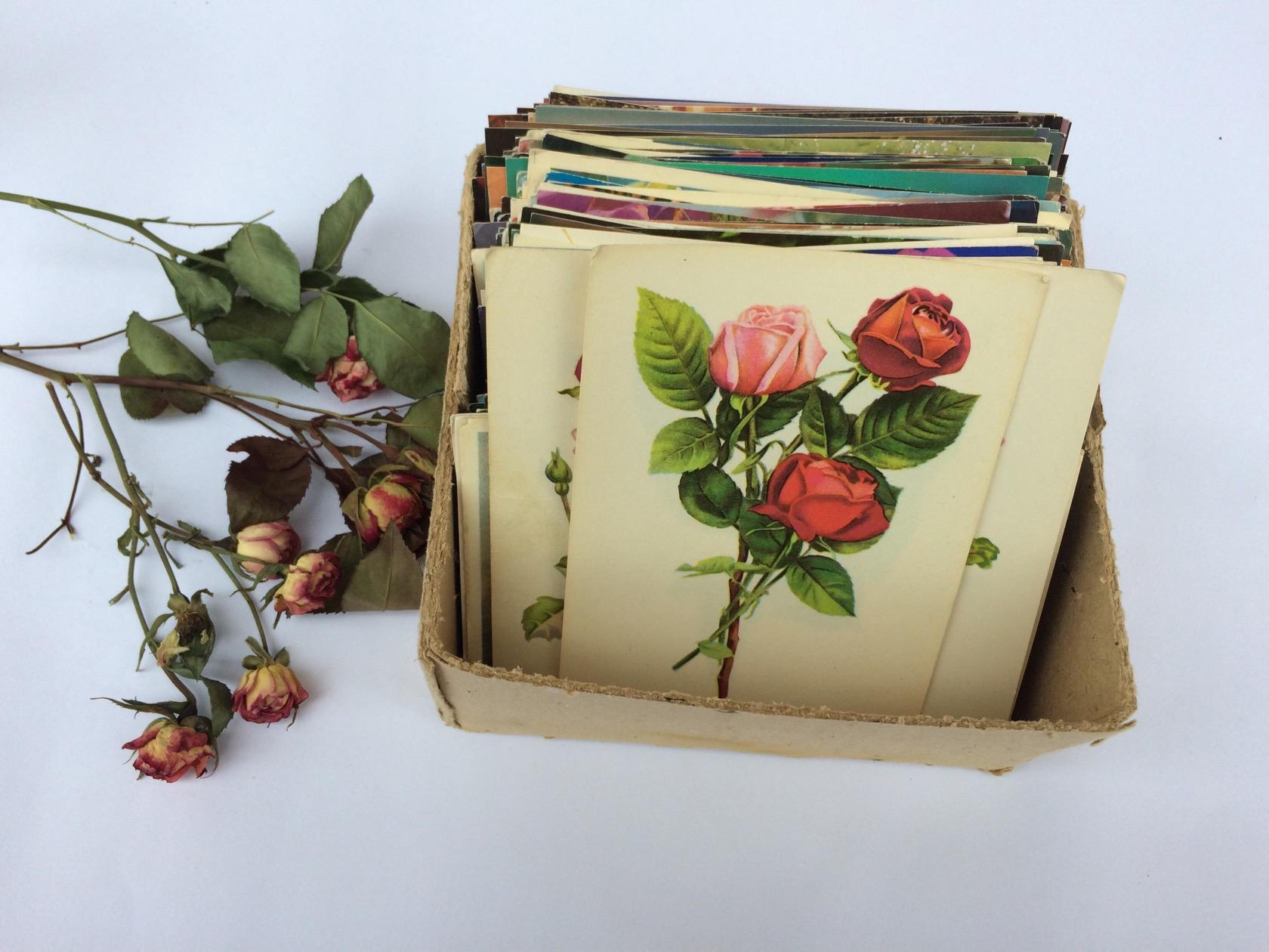 Retro Roses Postcards Vintage Postcards Vintage Roses Postcards Times ...