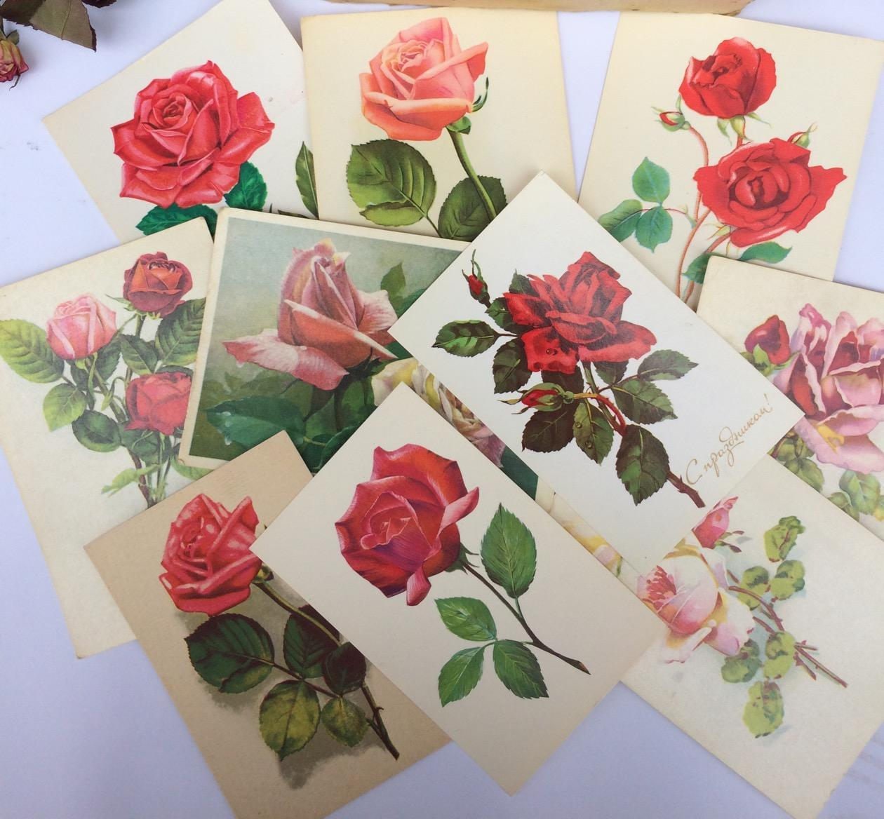 Retro Roses Postcards Vintage Postcards Vintage Roses Postcards Times ...