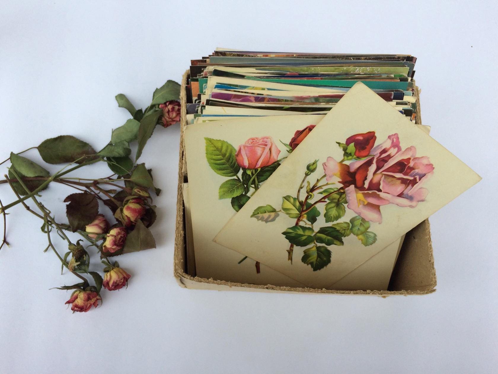 Retro Roses Postcards Vintage Postcards Vintage Roses Postcards Times ...