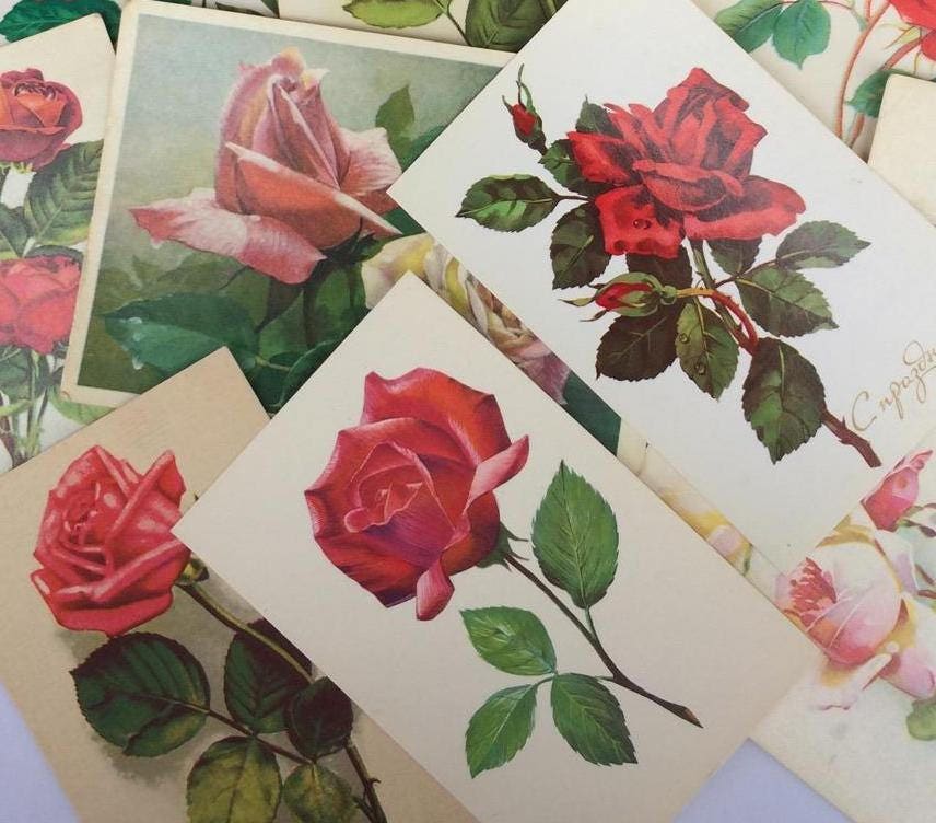 Retro Roses Postcards Vintage Postcards Vintage Roses Postcards Times ...