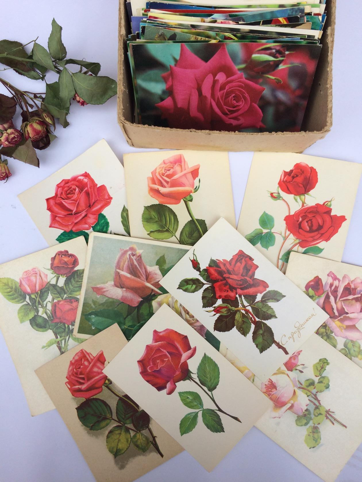 Retro Roses Postcards Vintage Postcards Vintage Roses Postcards Times ...