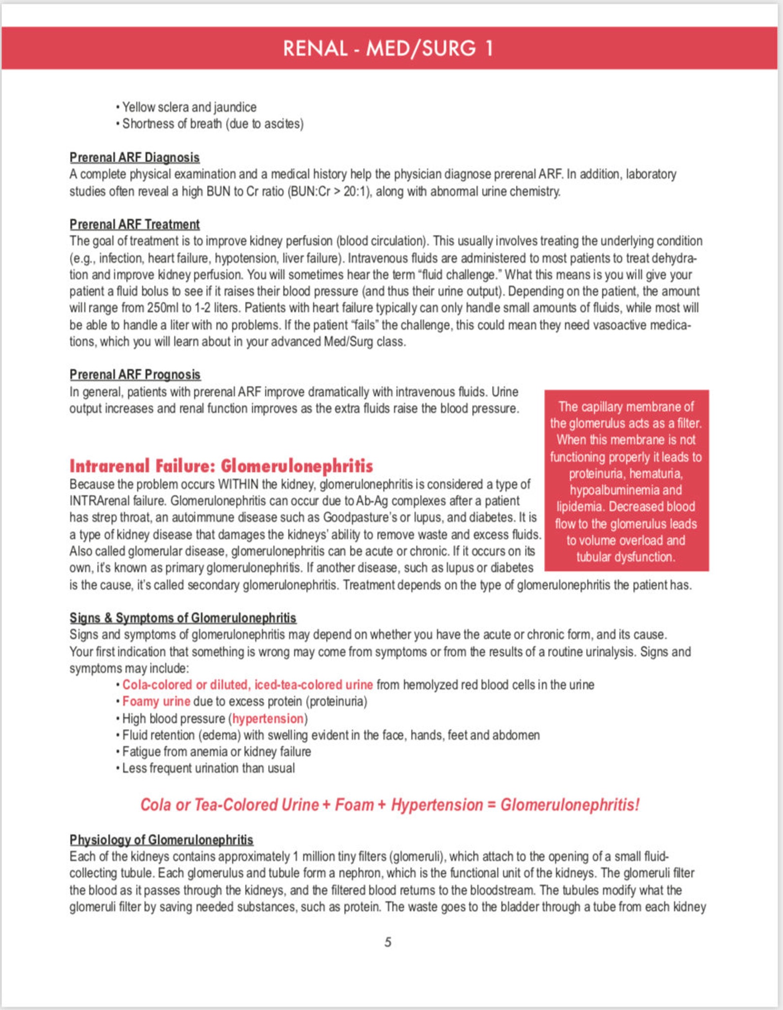 Med Surg Nursing School Study Guides PDF - Etsy Canada