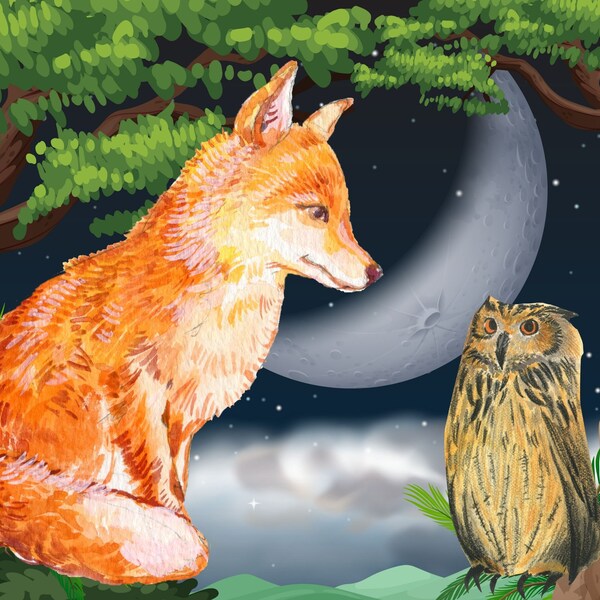 Fox and Owl - Etsy