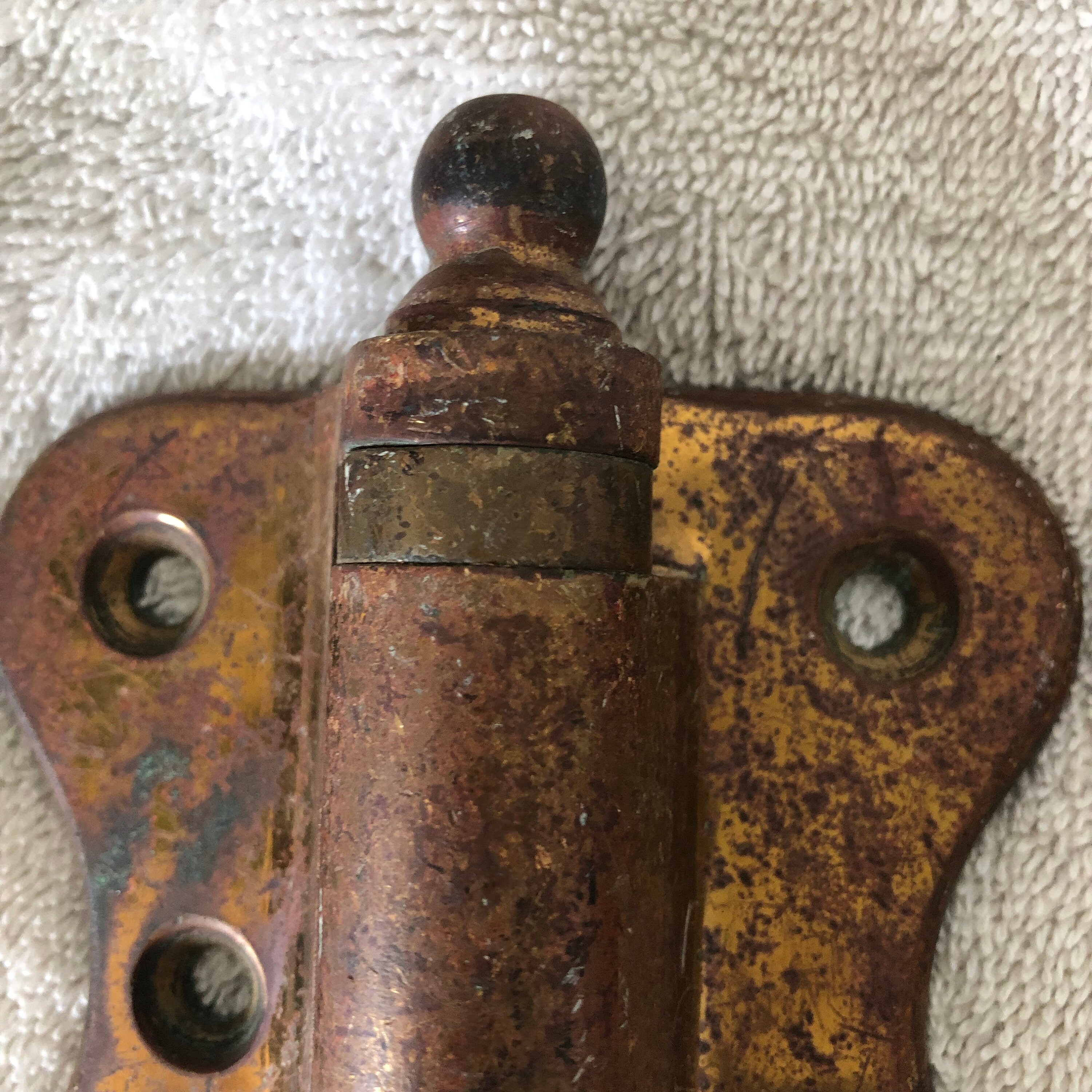 Antique Pair of 1011 Bommer Butterfly Shaped Heavy Duty Brass Spring ...