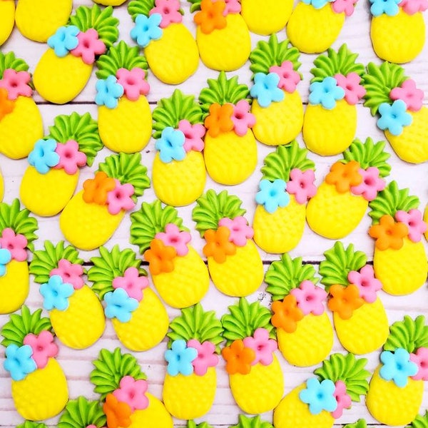 Pineapple Backdrop - Etsy