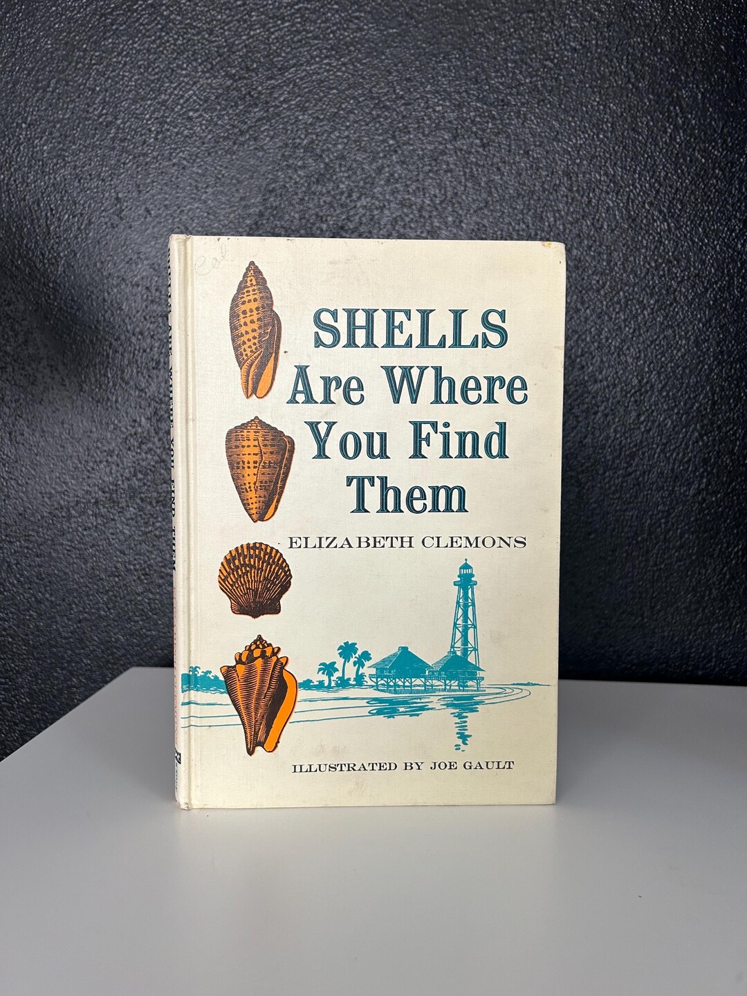 Vintage Book Shells Are Where You Find Them by Elizabeth Clemons 1960 ...