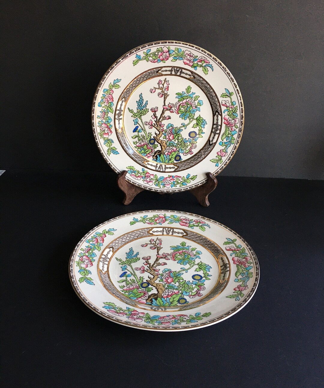 Vintage Set of Two Alfred Meakin England Bengal Tree 10 Dinner Plates ...