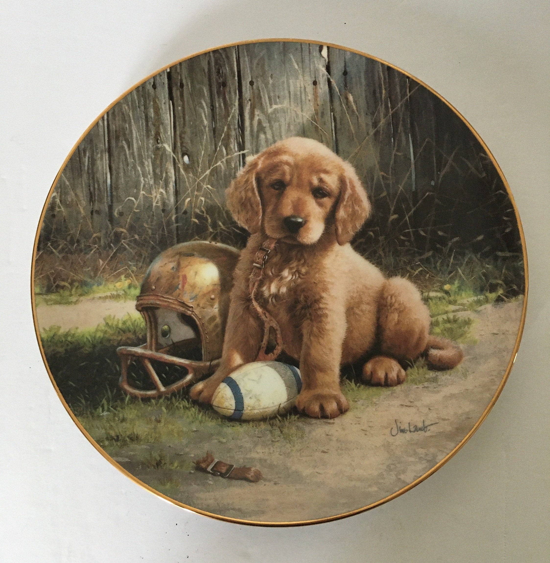 Adorable Vintage Set of 3 Dog Plates Springer Spaniel and - Etsy