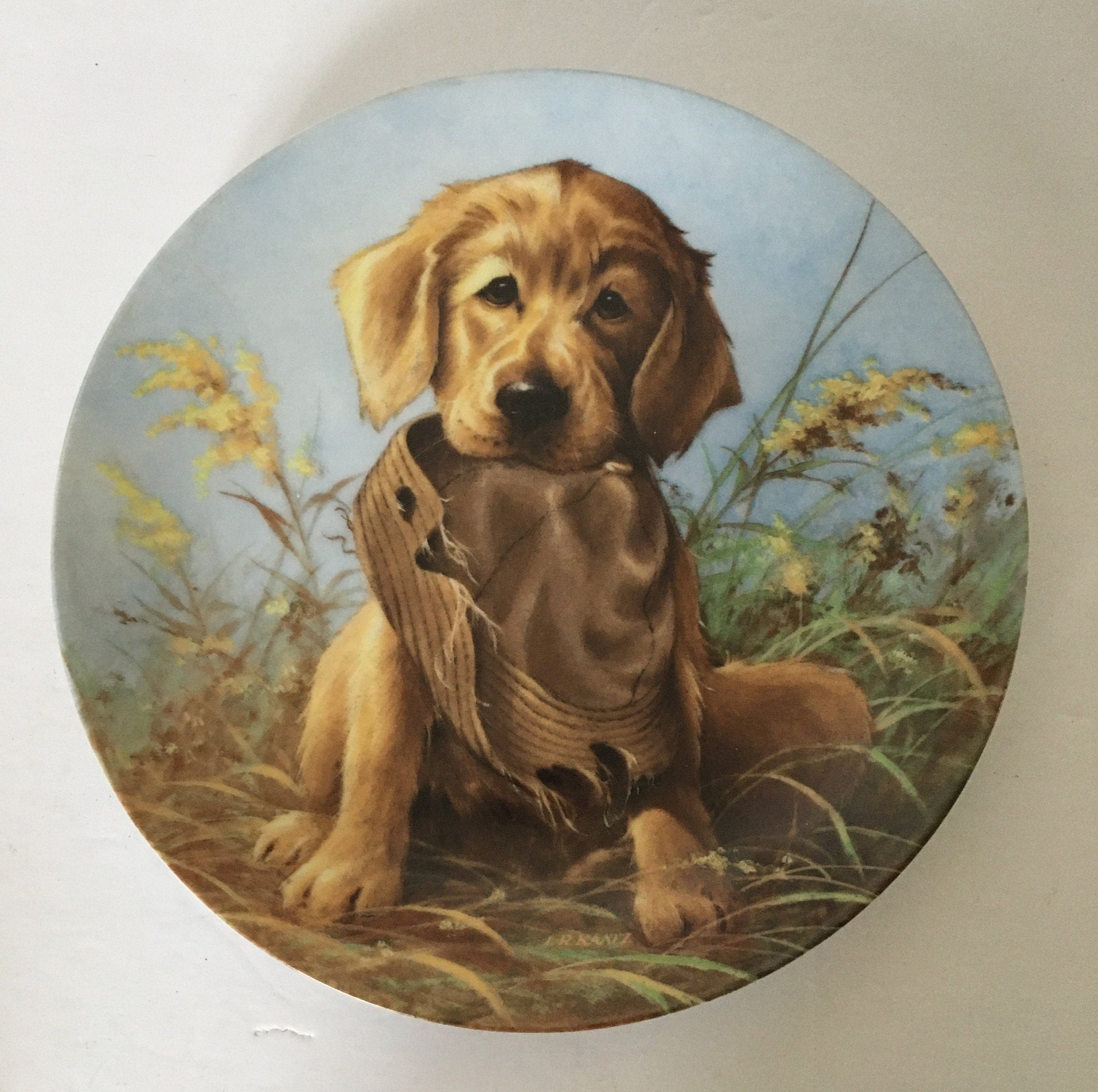 Adorable Vintage Set of 3 Dog Plates Springer Spaniel and - Etsy