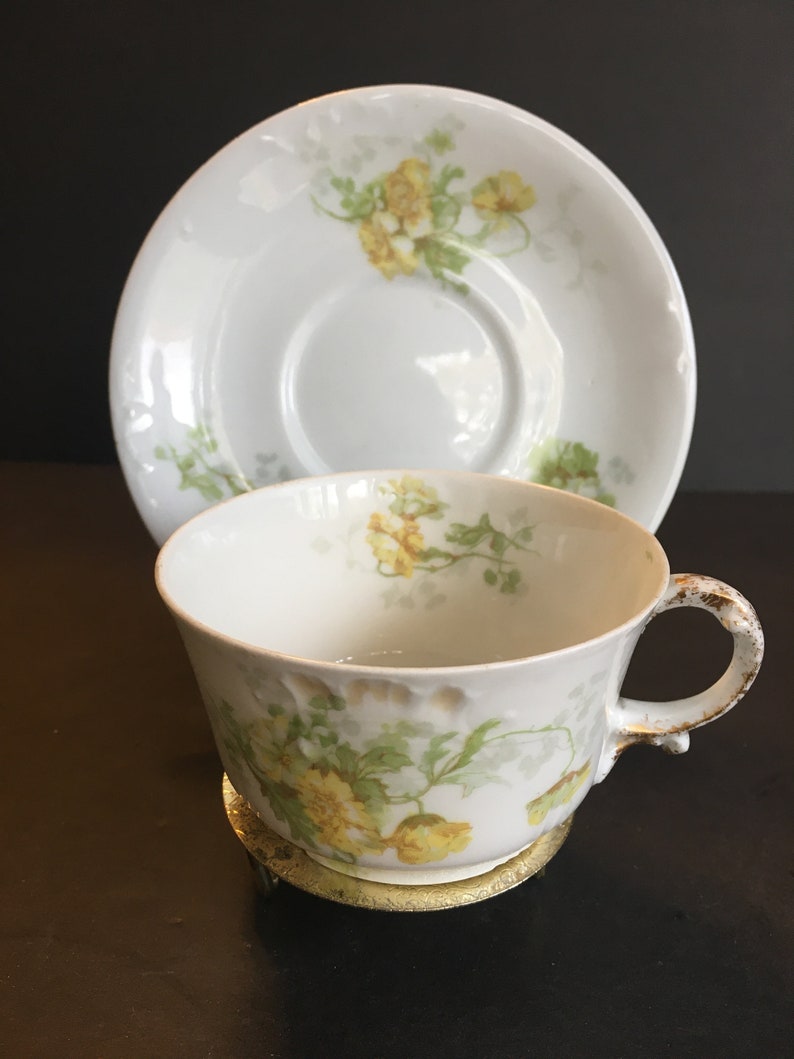 J. P L France Antique Teacup and Saucer Soft Green Foliage and Pale ...