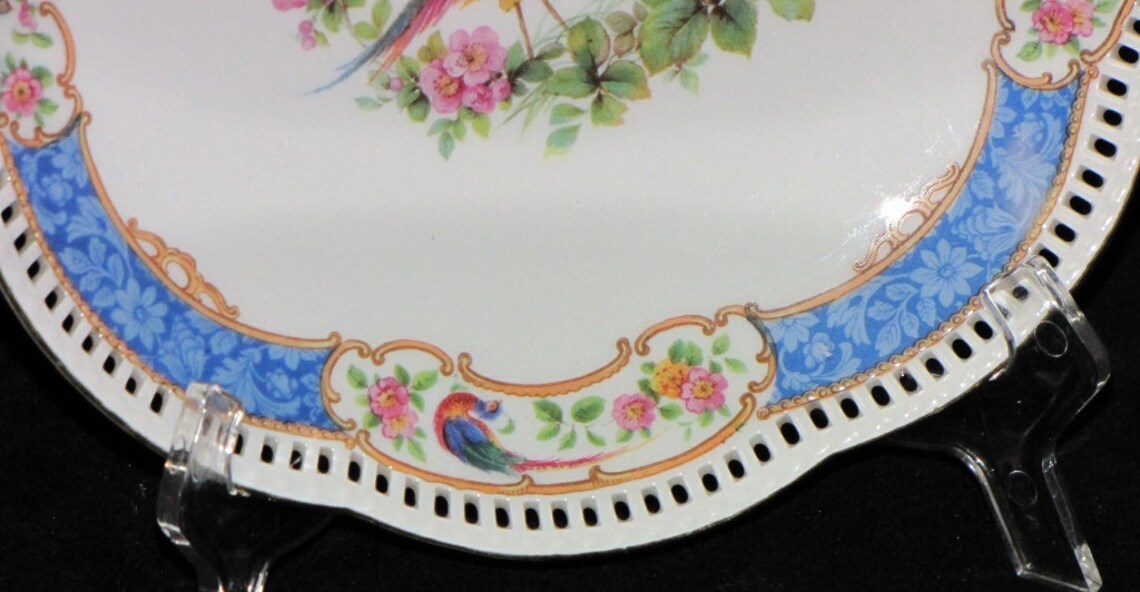 Colourful Vintage Bavarian Schumann Porcelain China With Pheasants ...