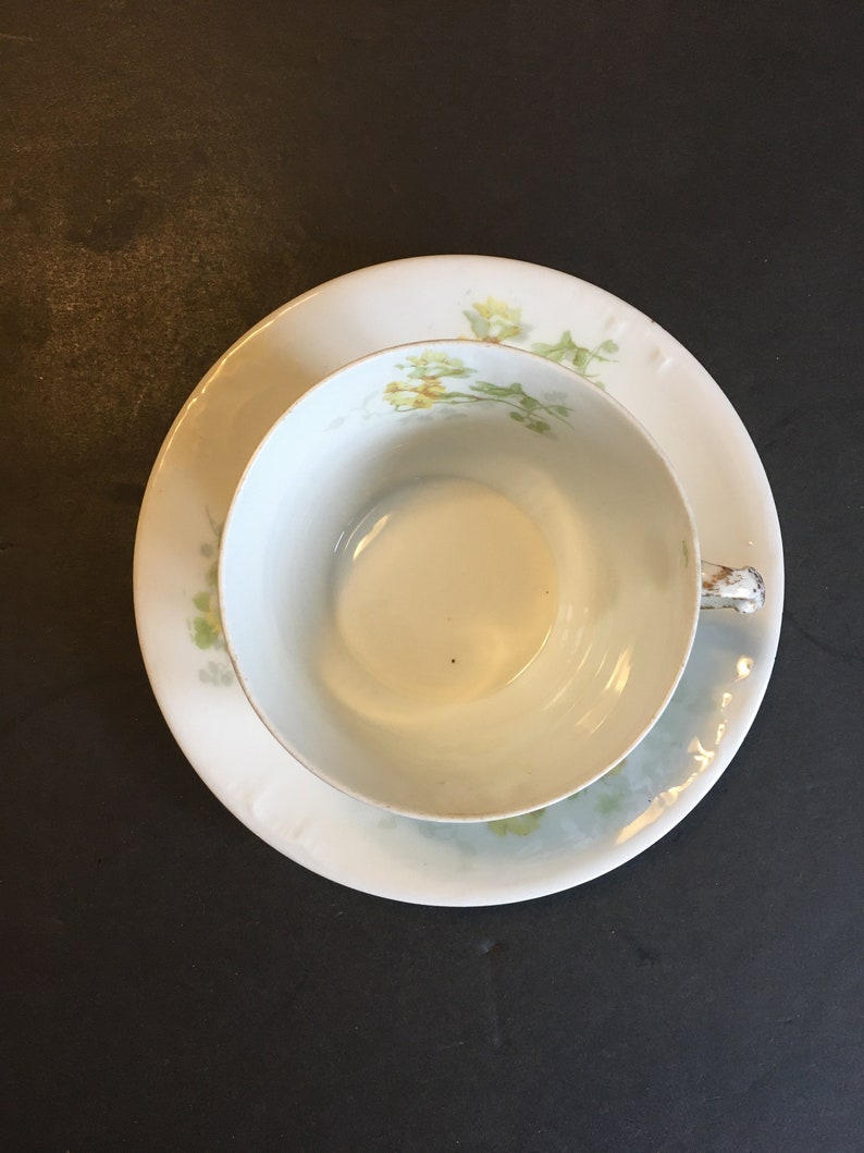 J. P L France Antique Teacup and Saucer Soft Green Foliage and Pale ...