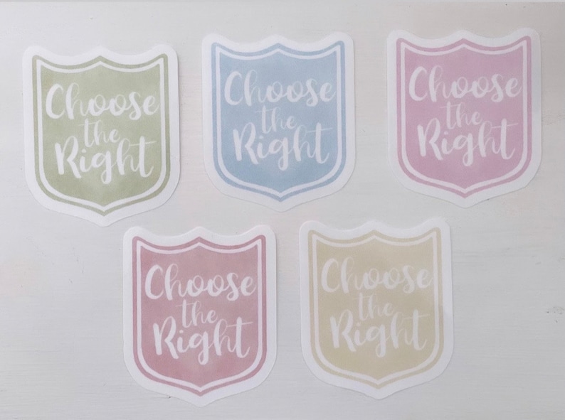 Choose the Right Sheild Sticker - Etsy