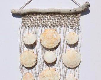Shell and Driftwood Wall Hanging - Etsy