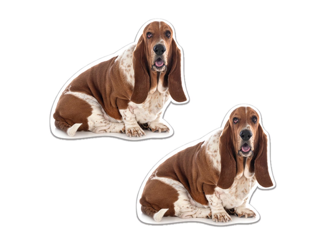 2x Basset Hound Dog Printed Car Window Bumper Laptop Vinyl Decal ...