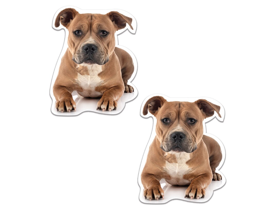 X2 Staffordshire Bull Terrier Dog Printed Car Window Bumper Laptop ...