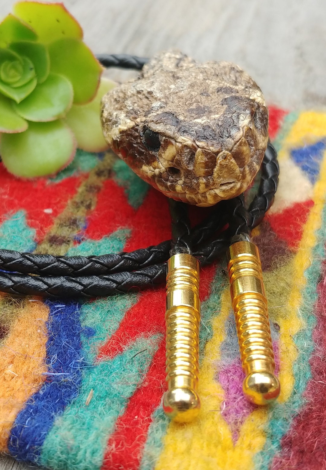 Vintage Rattlesnake Bolo Tie // String Tie // Lariat Tie // Western ...