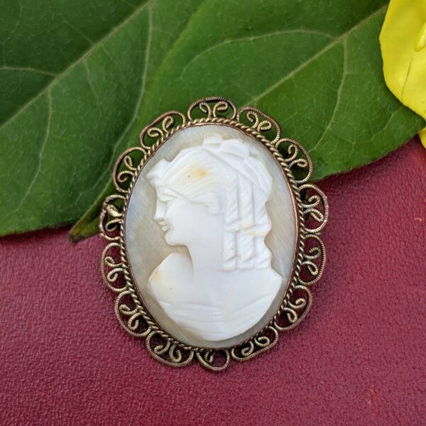 Shell Cameos - Etsy