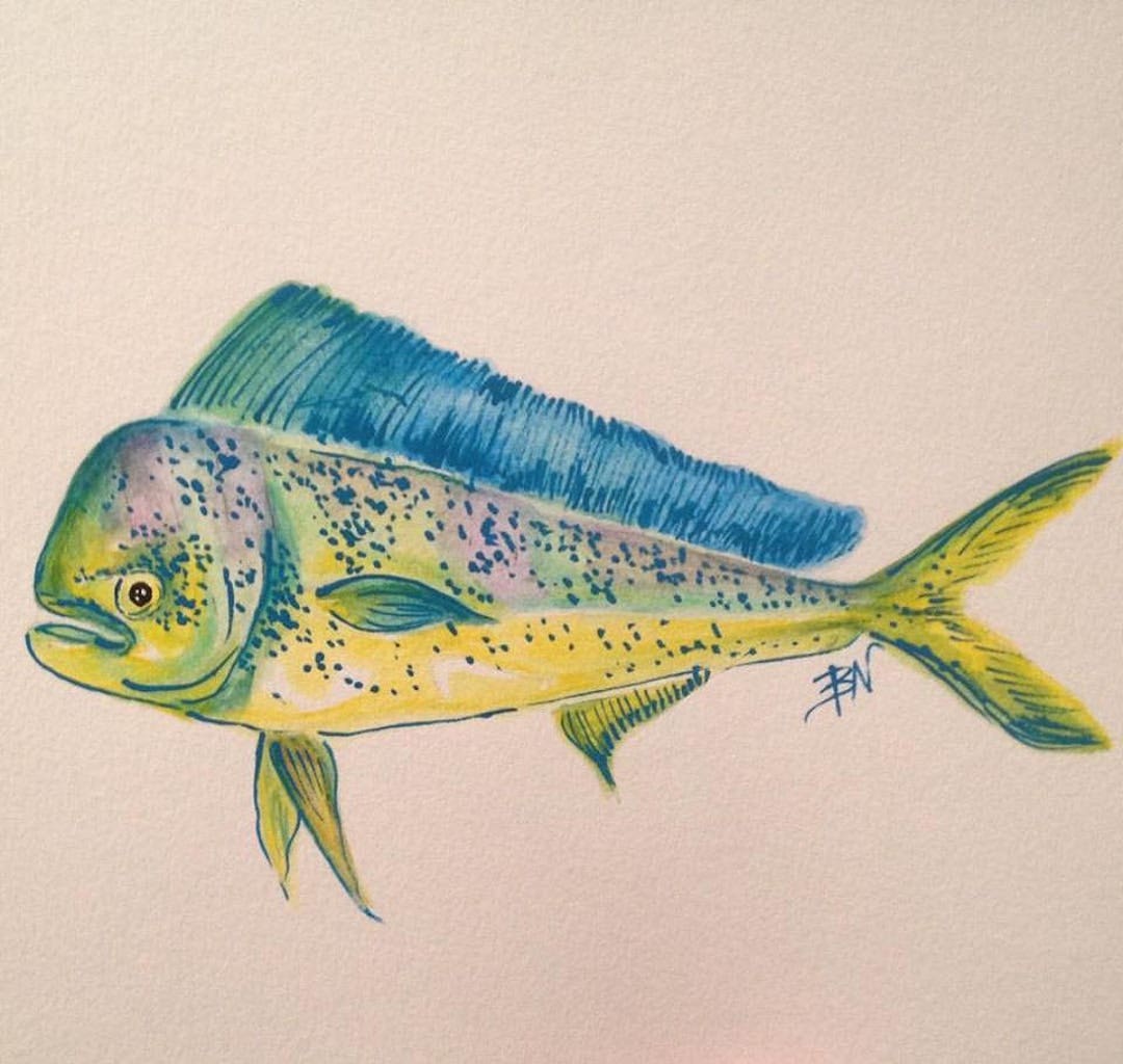Mahi Watercolor Print - Etsy