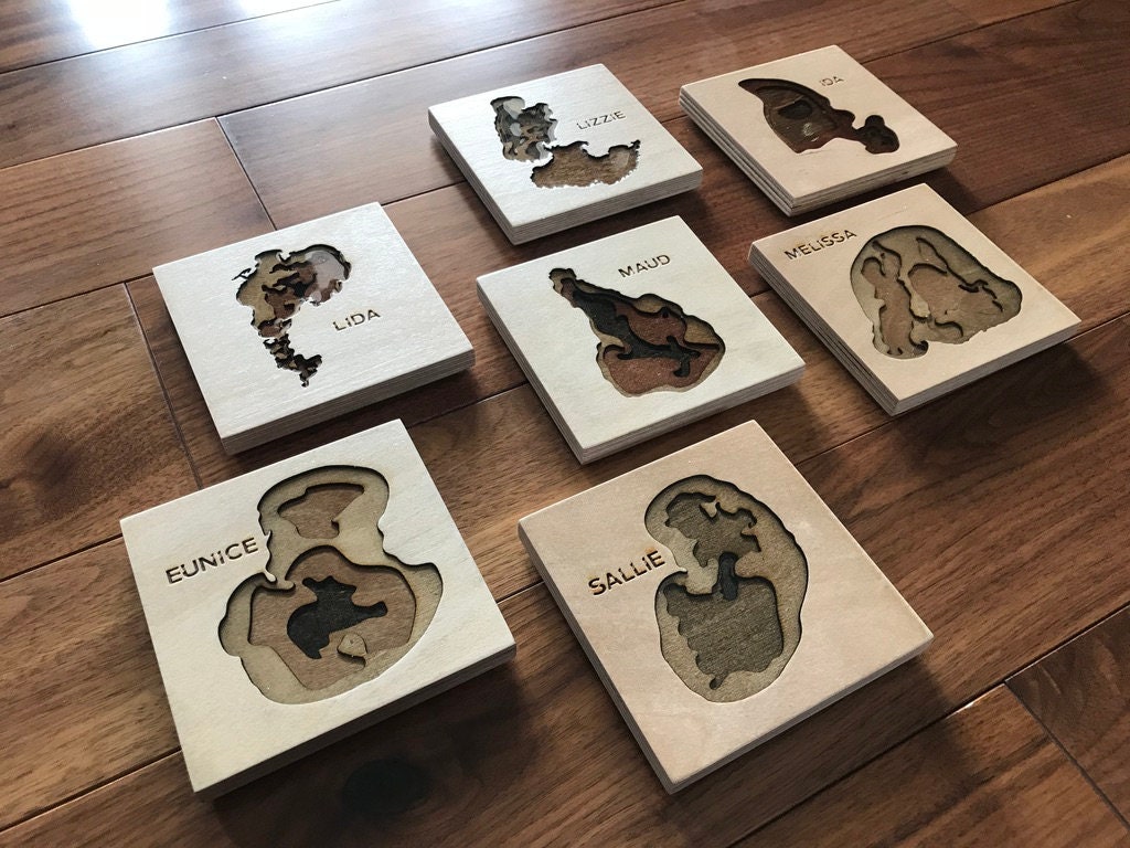 Laser Cut Wood Lake Topography Map Coasters - Etsy