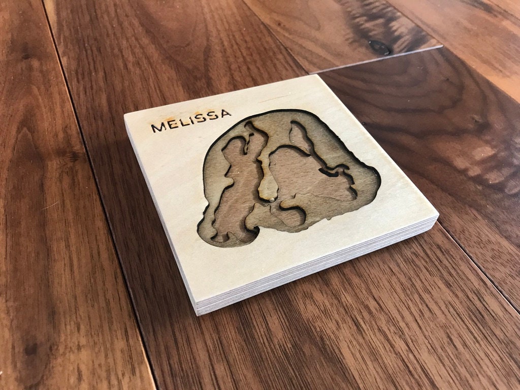 Laser Cut Wood Lake Topography Map Coasters - Etsy