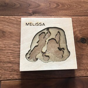 Laser Cut Wood Lake Topography Map Coasters - Etsy