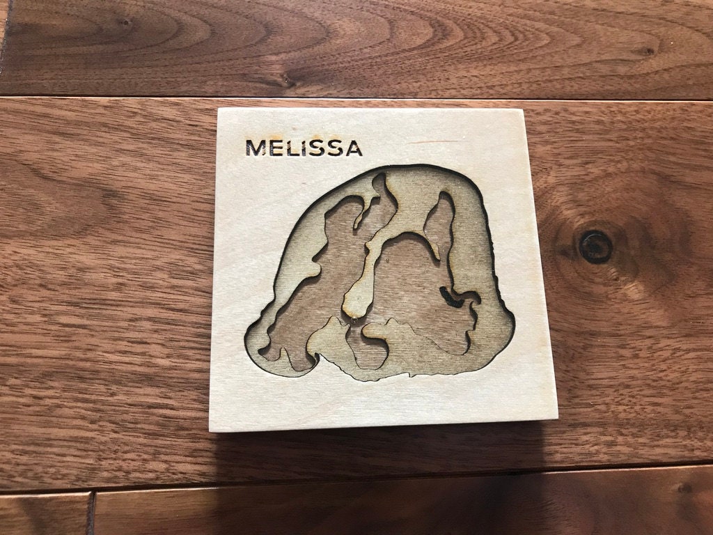 Laser Cut Wood Lake Topography Map Coasters - Etsy