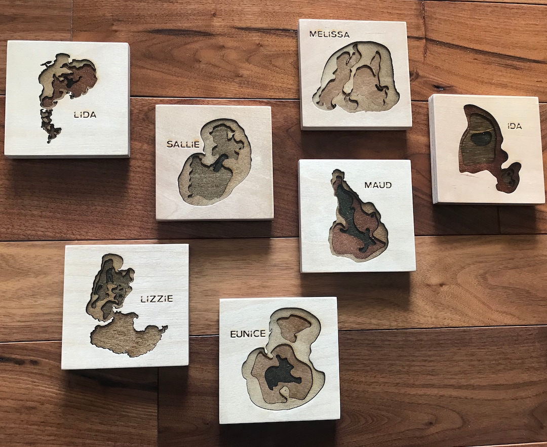 Laser Cut Wood Lake Topography Map Coasters - Etsy