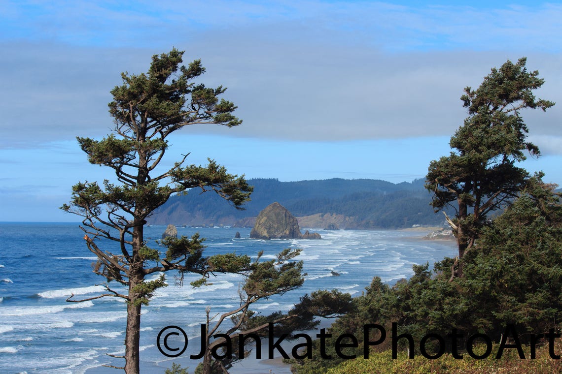 Oregon Coast Photography Print, Pine Trees, Pacific Northwest, Canvas ...