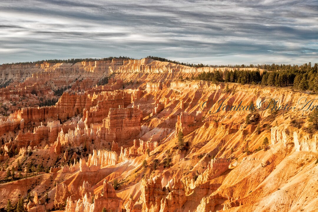 Bryce Canyon, Utah, Pink Stone Cliffs, Nature Art Photography, Canvas ...