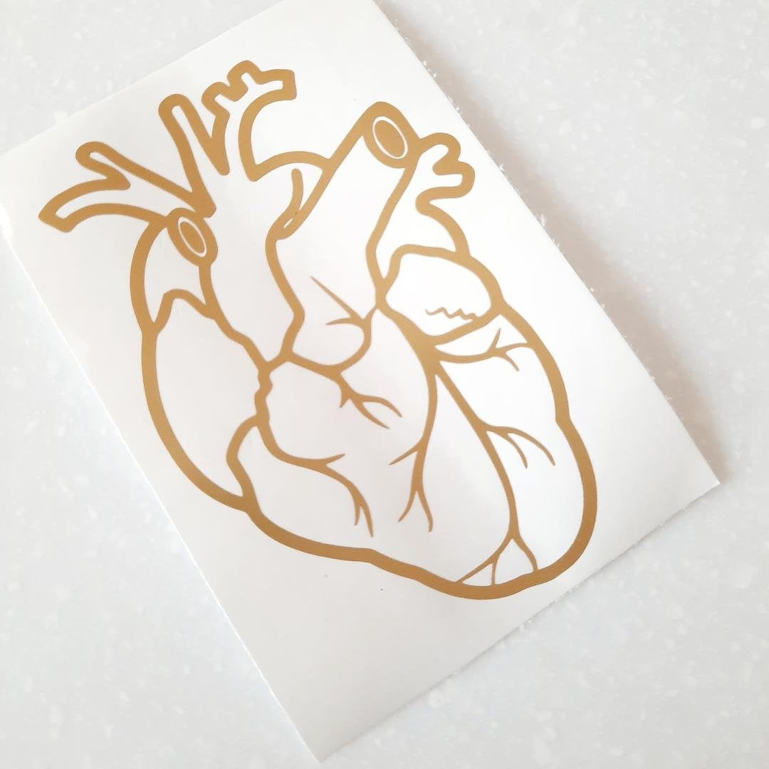 Anatomical Heart Decal, Heart Decal, Anatomy Stickers, Healthcare Decal ...