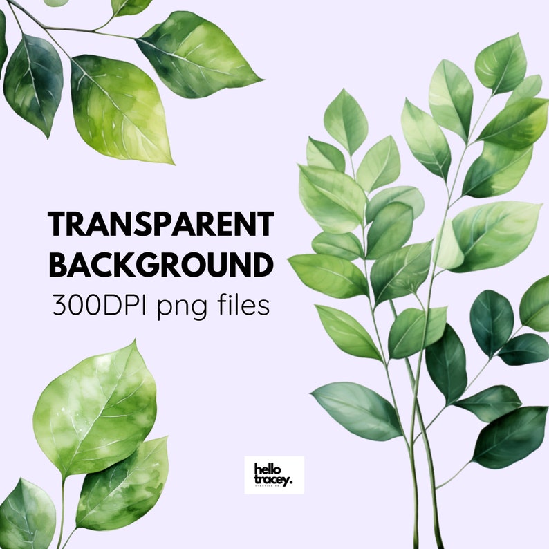 Green Leaves Leaf Clipart Pack, Clip Art for Commercial Use ...