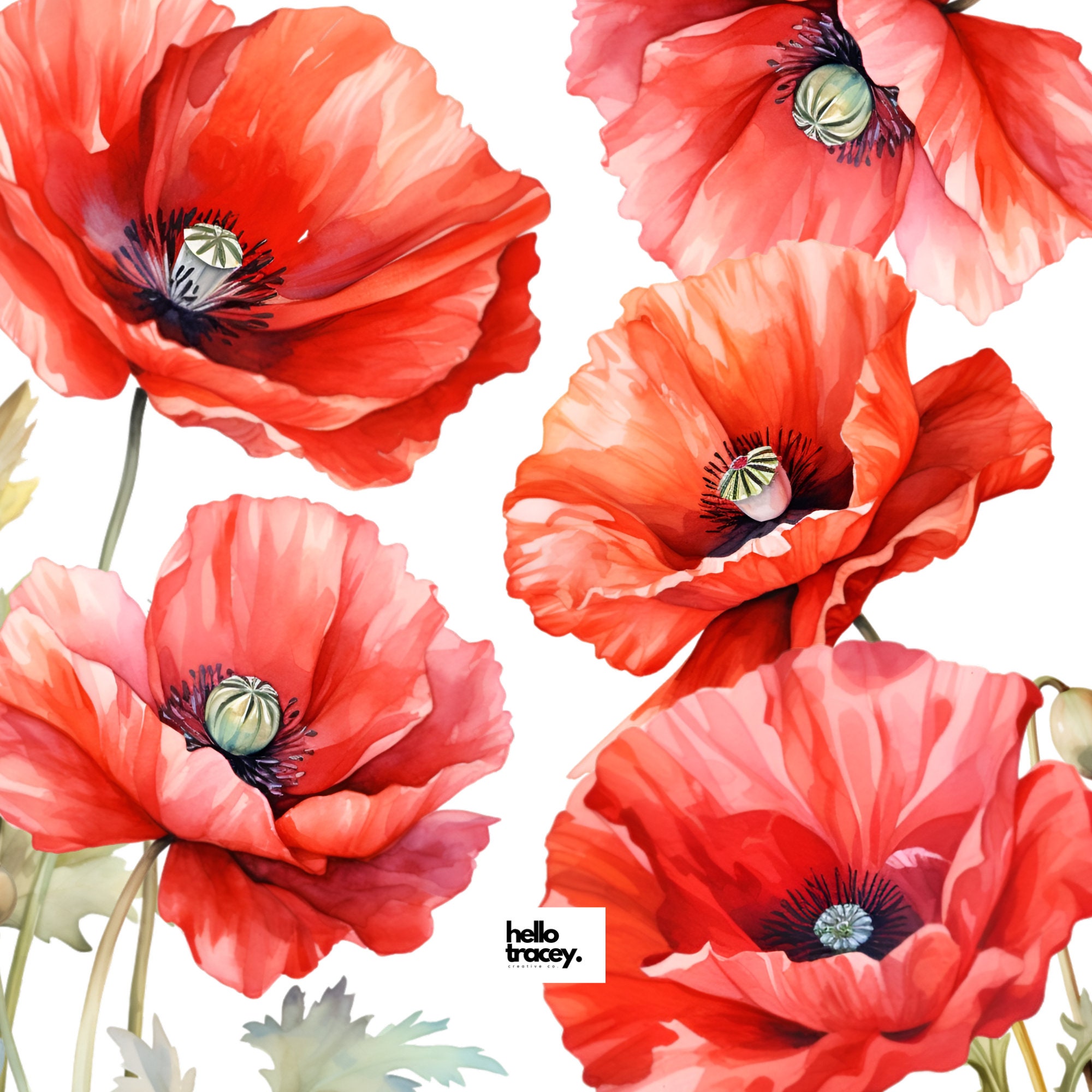 Red Poppy Flowers Clipart Pack, Clip Art for Commercial Use ...